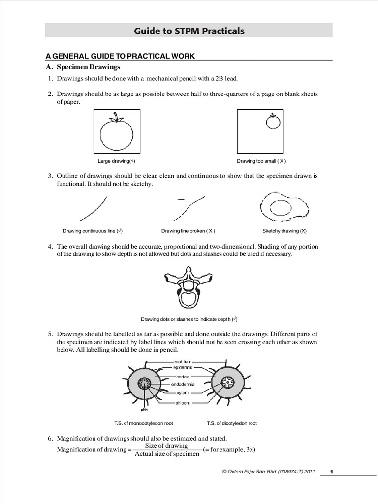 Dokumen - Tips - STPM Biology Practical Guide | PDF