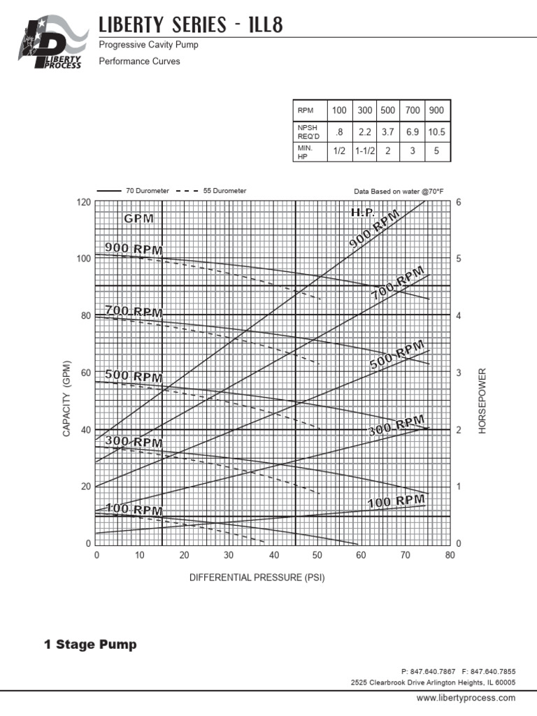 Liberty Series Progressive Cavity Curve 1LL8 | PDF