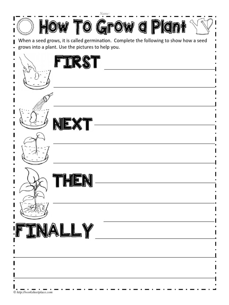 Procedural-Writing-grow-plant | PDF