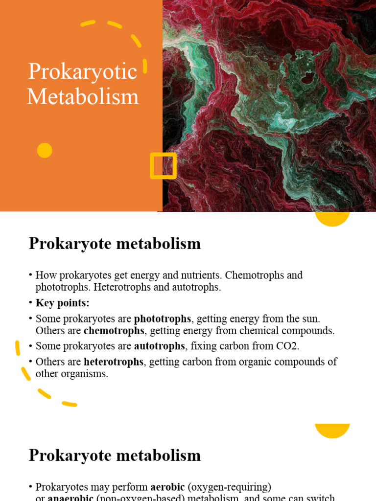Prokaryotic Metabolism | PDF | Metabolism | Nutrition