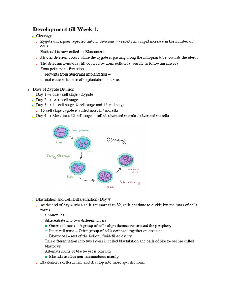 03 Development Week 1 Week 2 Pdf Biology Morphology Biology 