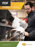 Poultry Classification and Breeds Overview | PDF | Chicken | Birds