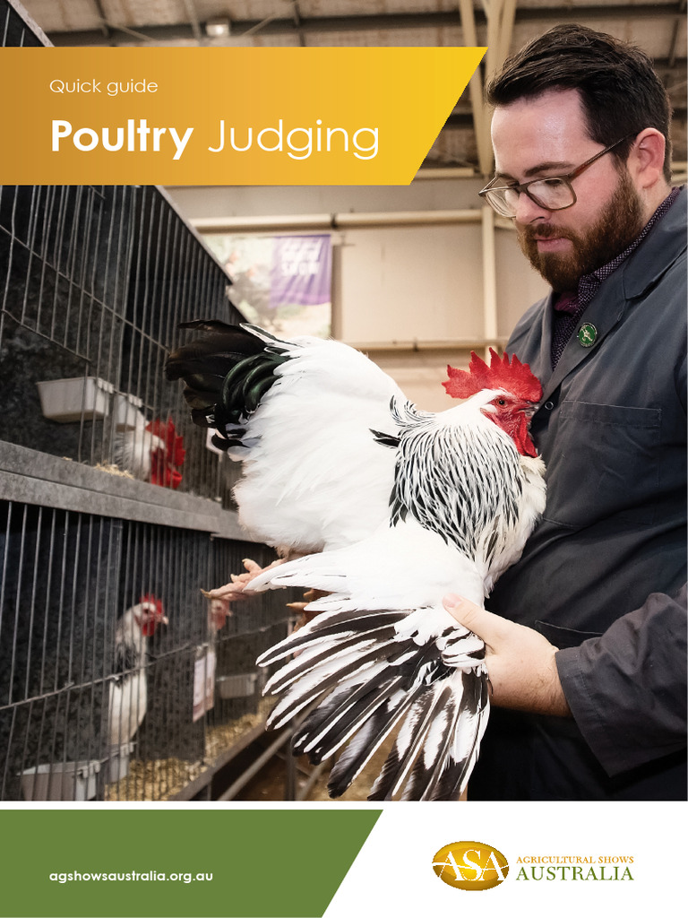 Quick Guide To Poultry Judging - Young Judges and Paraders ECS - Online ...