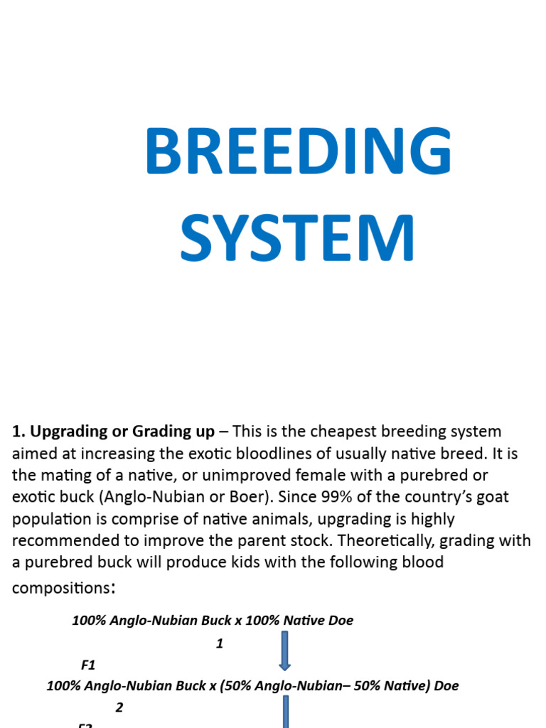 Apr Breeding System | PDF | Puberty | Cattle