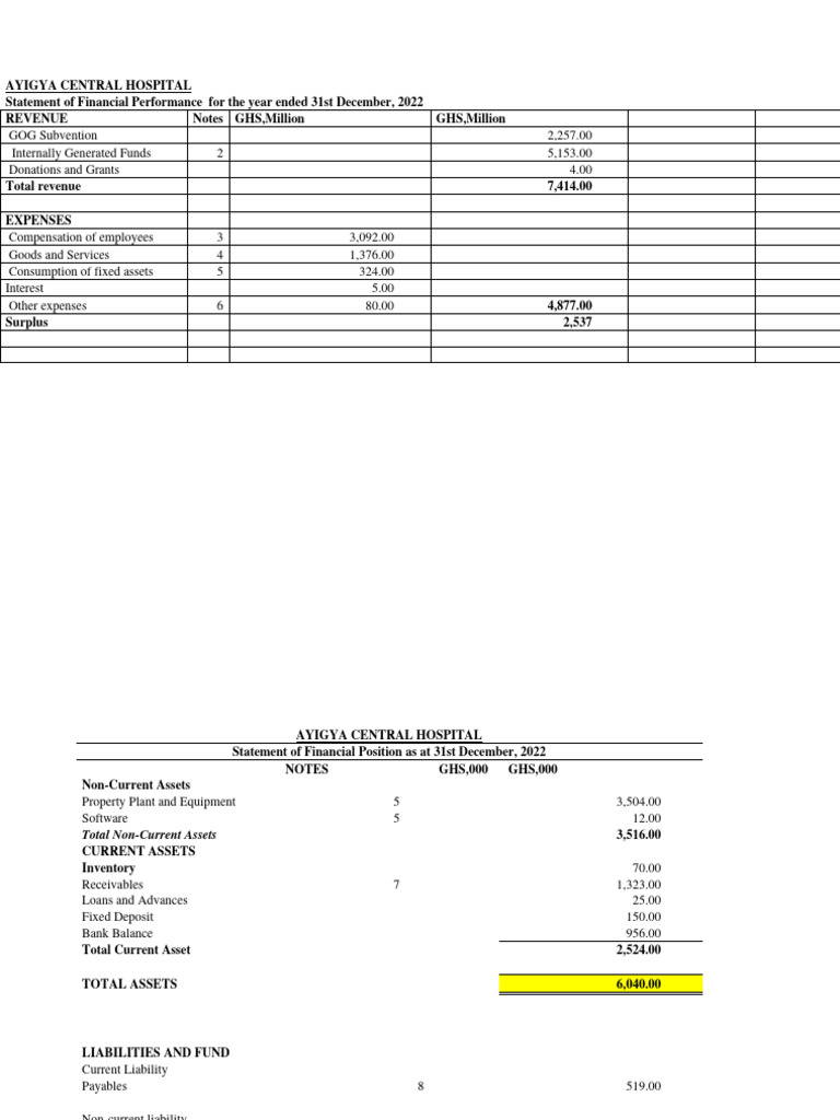 Ayigya Central Hospital-July 2023 | PDF | Corporations | Financial ...