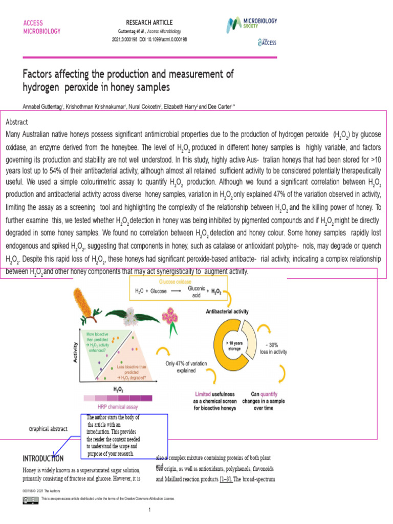 Sample IMRAD Research Article 4 | PDF | Hydrogen Peroxide | Honey