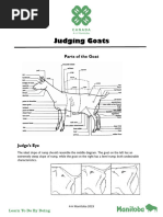 Quick-Guide-to-Poultry-Judging_Young-Judges-and-Paraders-ECS_Online ...