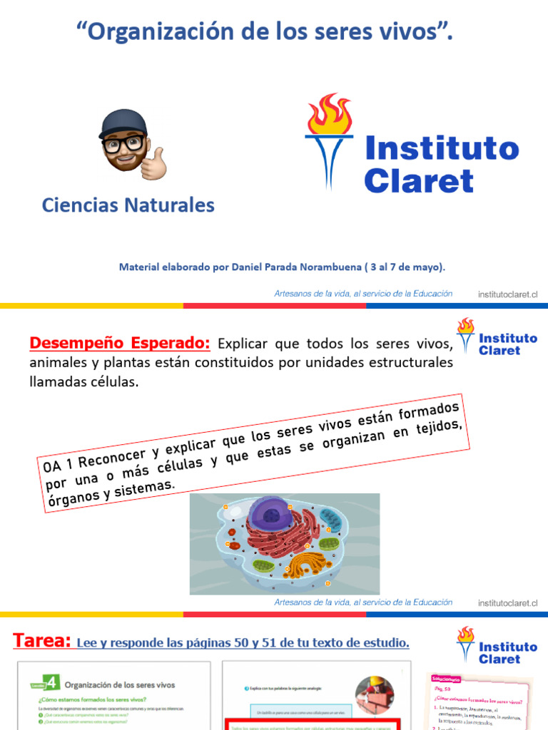 CIENCIAS 5° Básico 1 Organización de Los Seres Vivos 3 Al 7 de Mayo | PDF