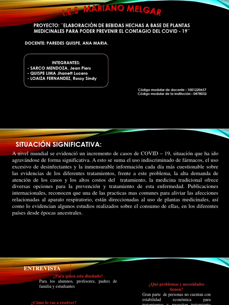 Proyecto 3e | PDF | Té