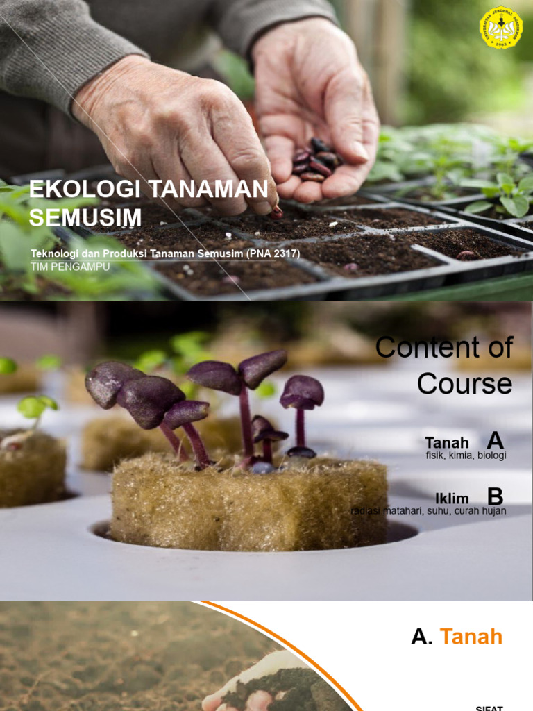 Ic. EKOLOGI TANAMAN SEMUSIM | PDF