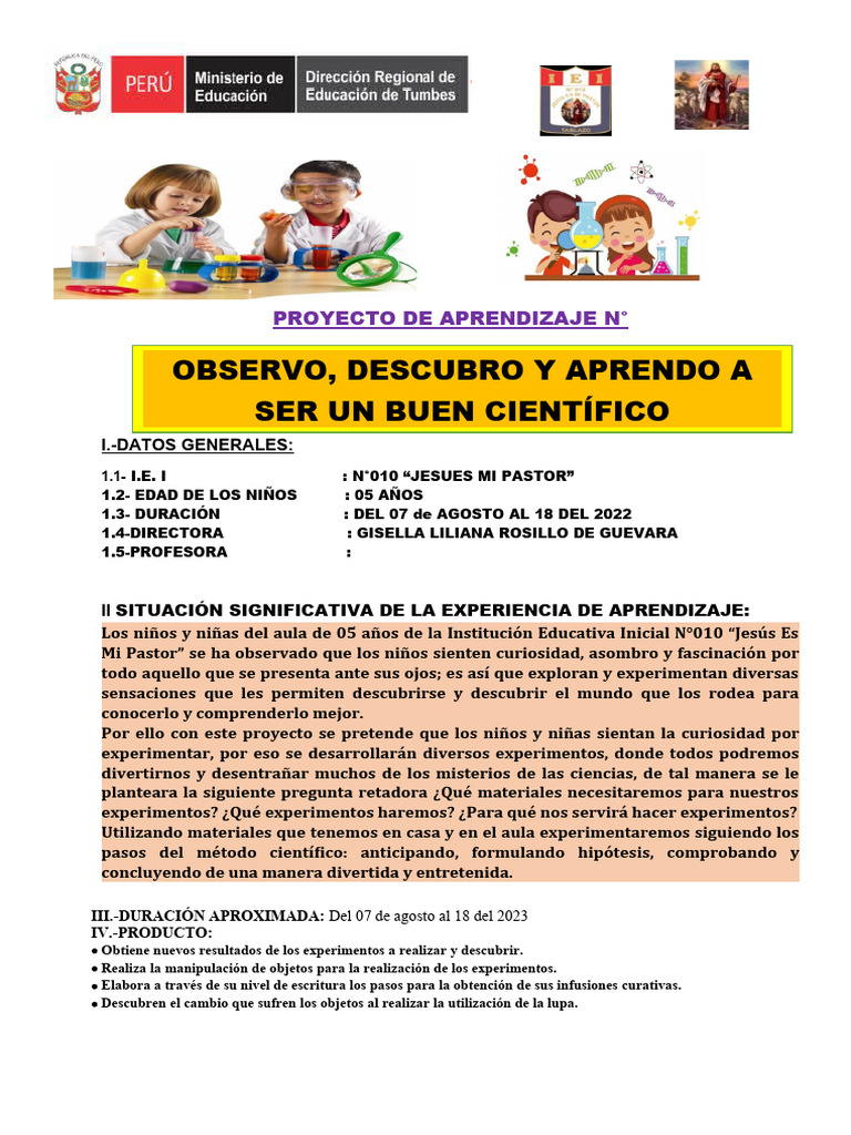 Proyecto 05 Años Observo Descubro y Aprendo A Ser Un Buen Cientifico | PDF | Dibujo | Experimentar