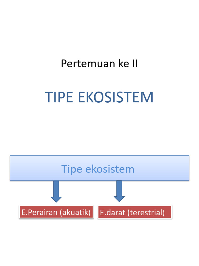 Pertemuan Ke II | PDF