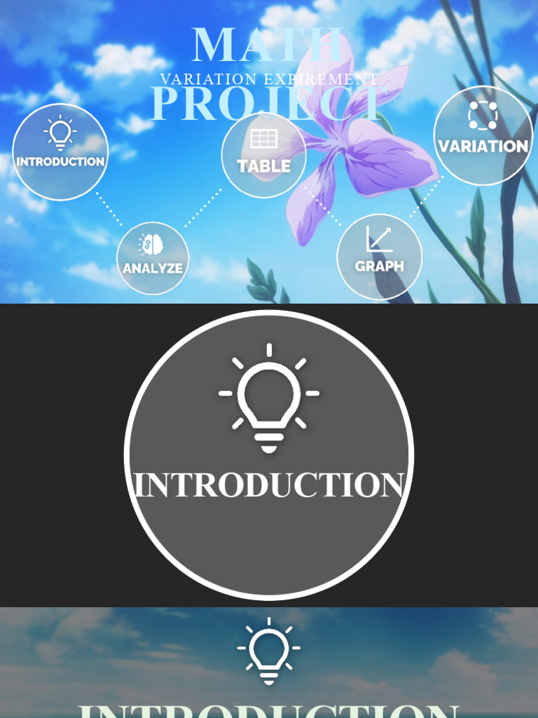 Math Project Variation | PDF
