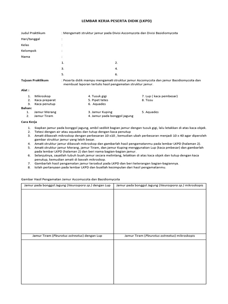 LKPD Jamur Ascomycota Dan Basidiomycota | PDF