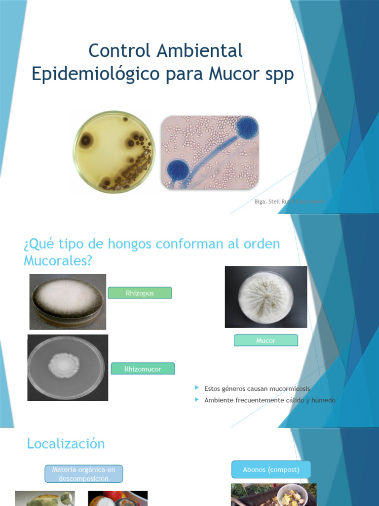 Control Ambiental Epidemiológico para Mucor SPP | PDF | Enfermedades y ...
