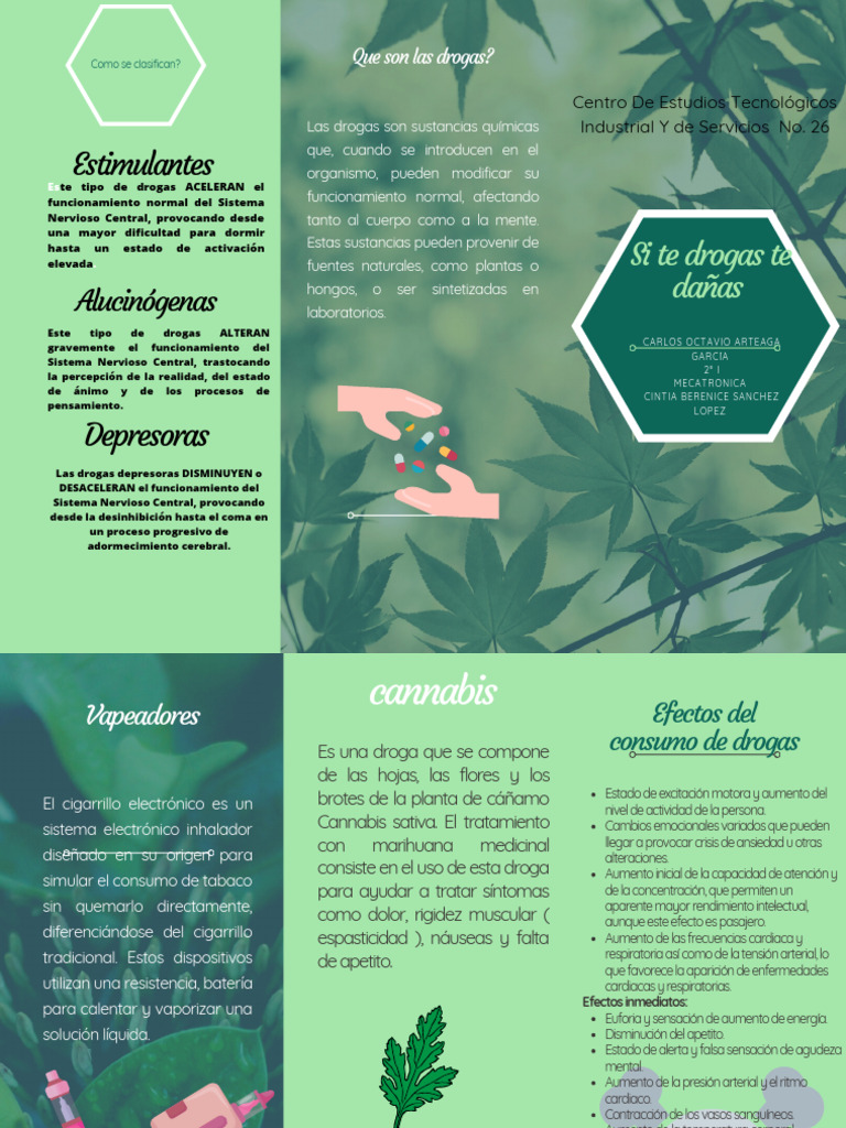 Verde Hojas Spa Tríptico Folleto | PDF | Drogas | Cannabis (Droga)