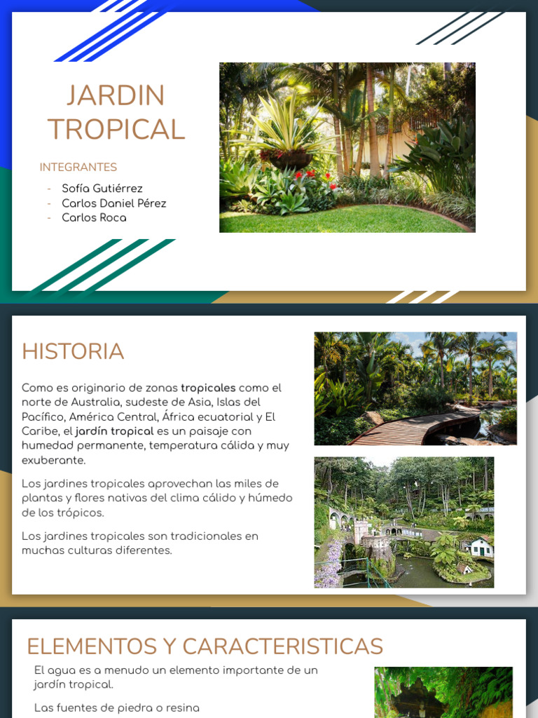Jardin Tropical | PDF
