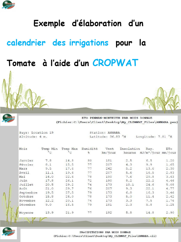 Irrigation de la Tomate avec CROPWAT 8.0 | PDF