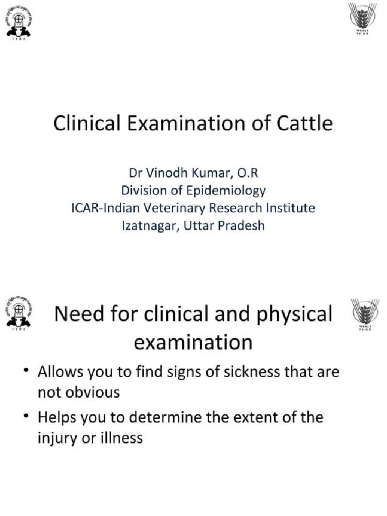 Clinical Examination of Cattle | PDF