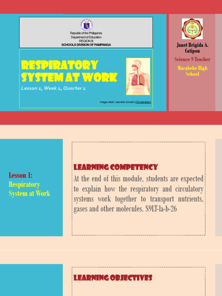Science 9 q1 Week 1- Respiratory System at Work | PDF | Respiratory System | Lung