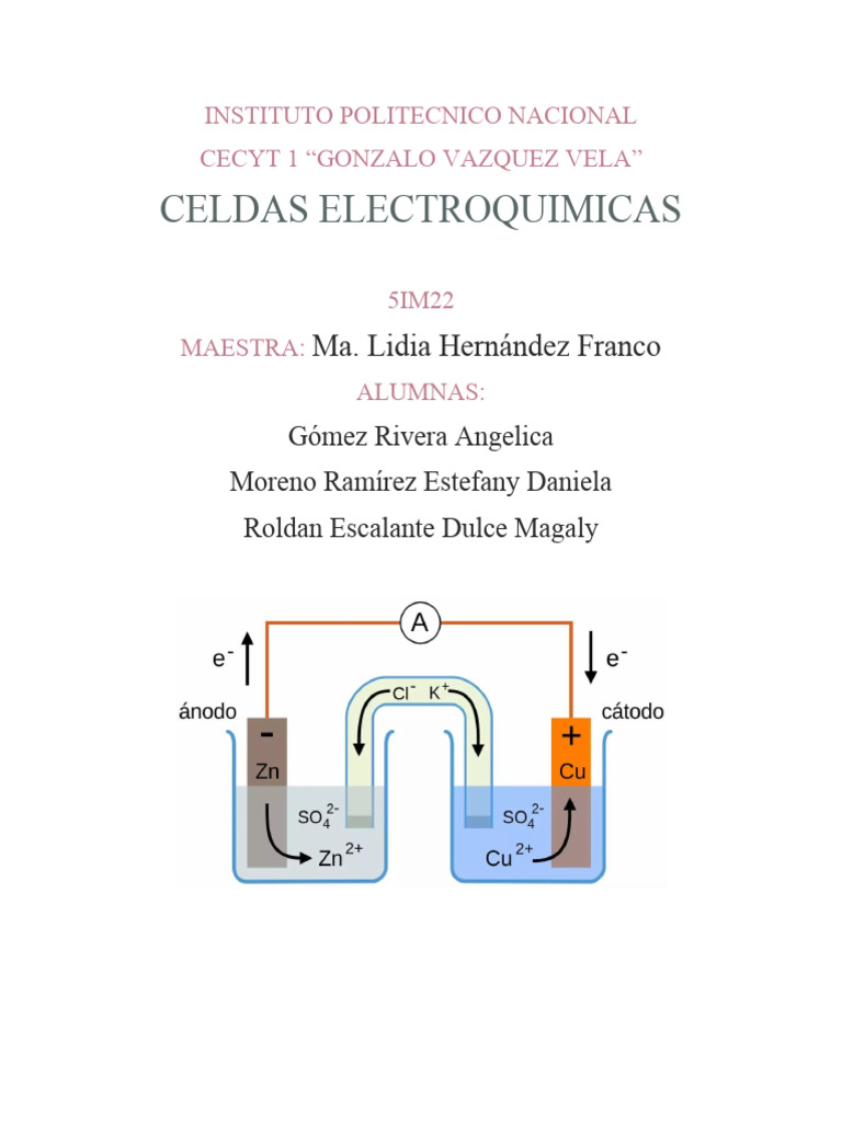 Celdas Electroquimicas | PDF | Electrodo | Electricidad
