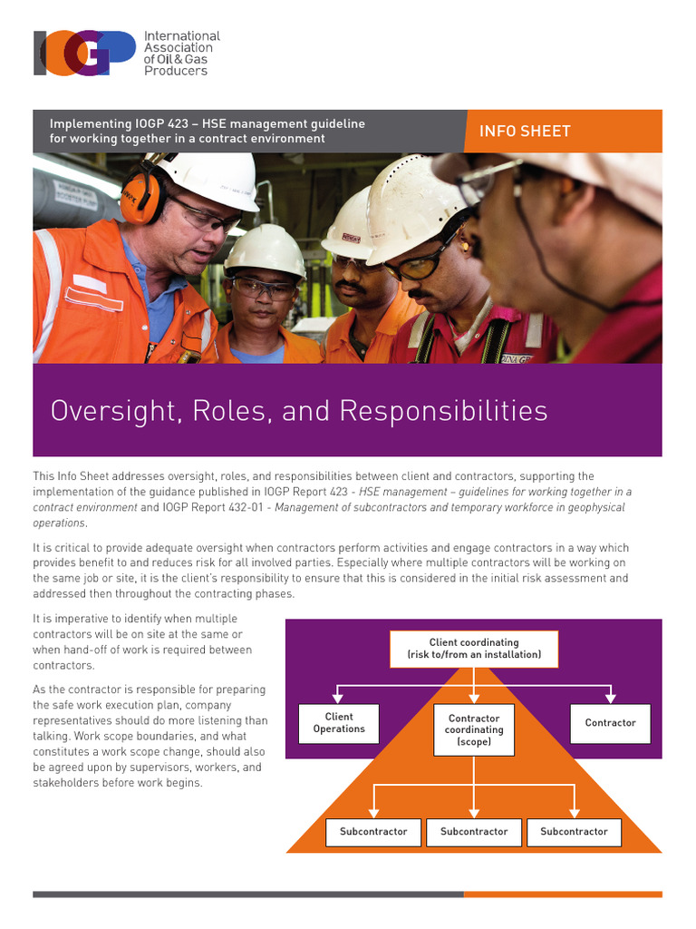 Oversight Roles and Responsibilities Info Sheet | PDF | General ...