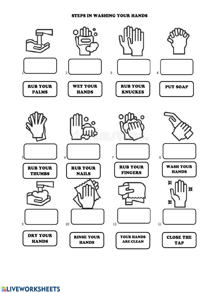 Wash Hands | PDF