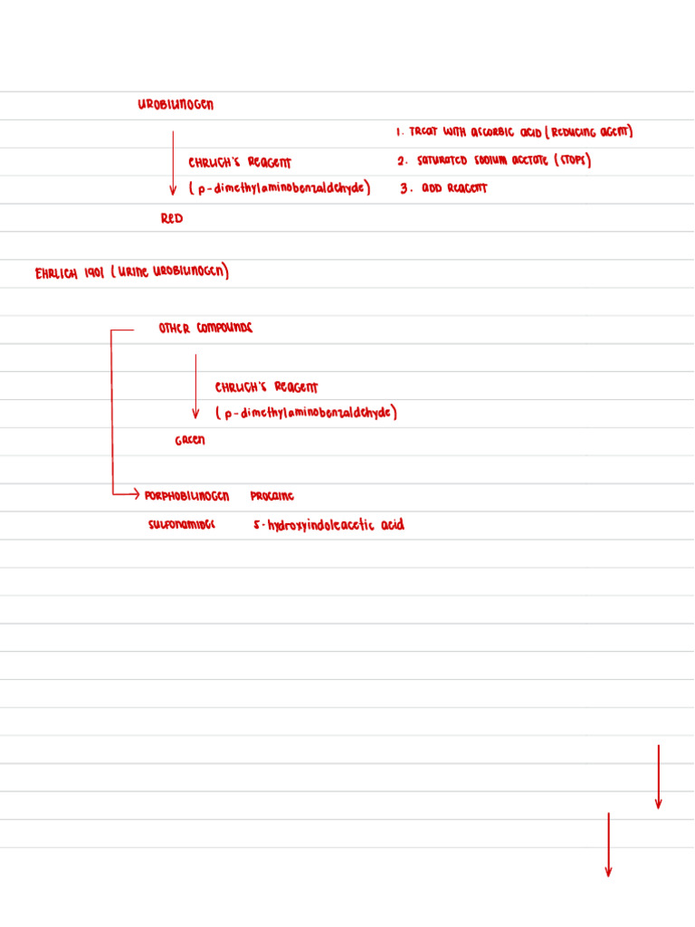 MLS 311L Experiment 1 Trans | PDF
