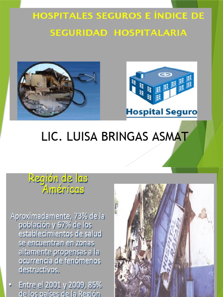Lic. Luisa Bringas Asmat | PDF