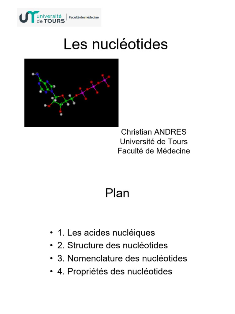 5 - Nucléotides Et Acides Nucléiques | PDF | ADN | Acide nucléique
