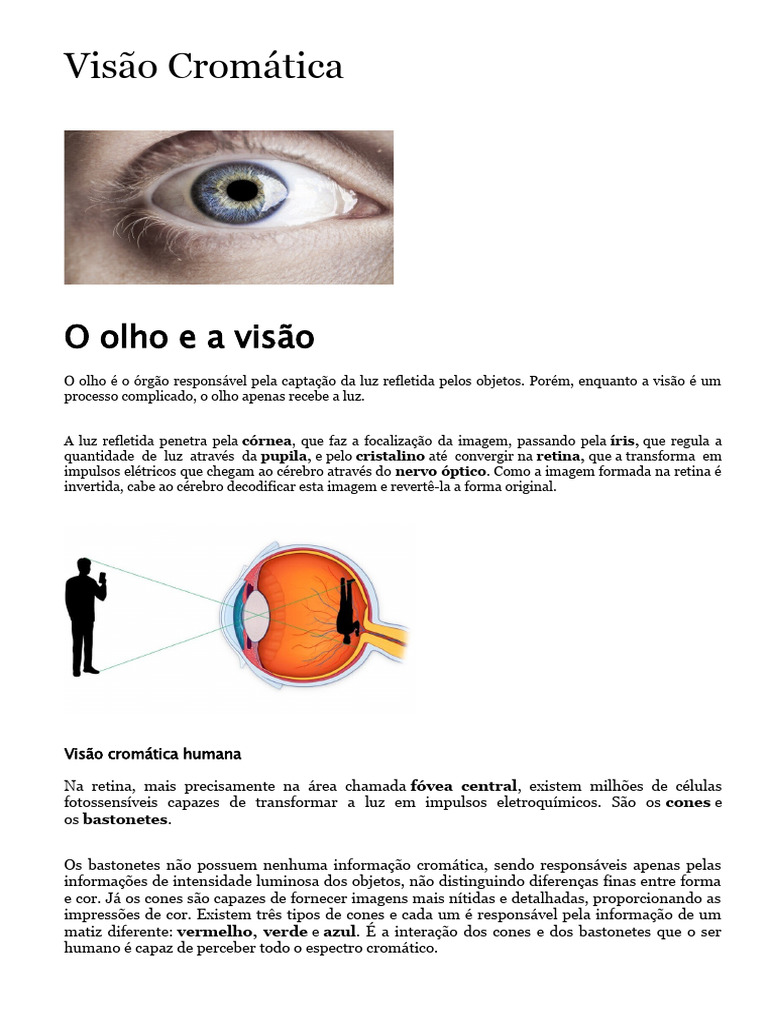 Visão Cromática | PDF | Sistema visual | Cor