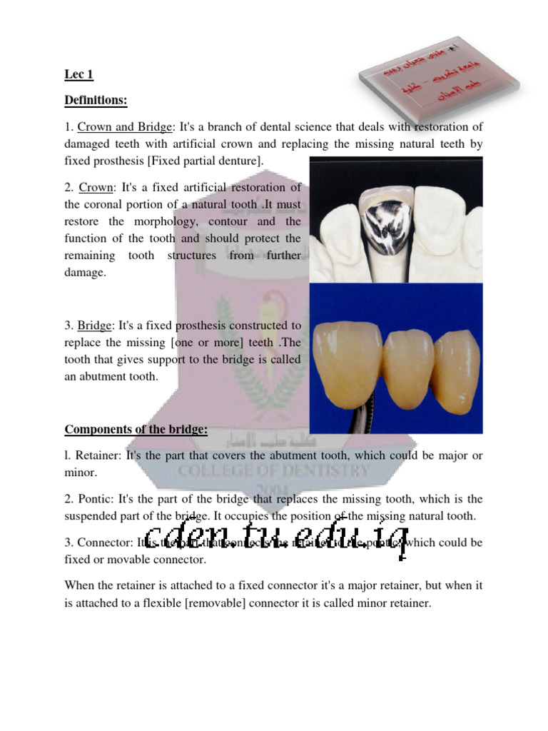 Lec 1 | PDF | Dentistry Branches | Medical Specialties