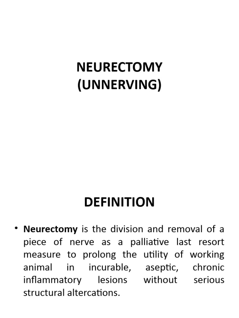 Equine Neurectomy Guide | PDF | Human Leg | Anatomical Terms Of Location