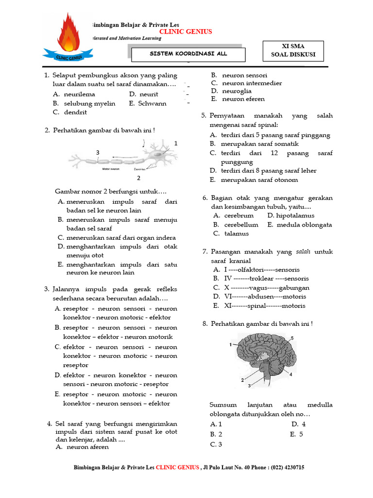 Soal Diskusi Sistem Koordinasi XI SMA | PDF