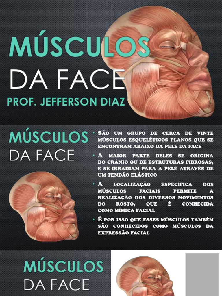 Músculos Faciais e Suas Funções | PDF | Rosto | Boca