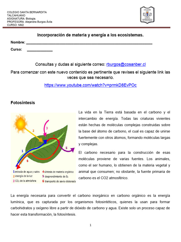 Energia A Los Ecosistemas Fotosintesis y Respiración Celular NM2 ...