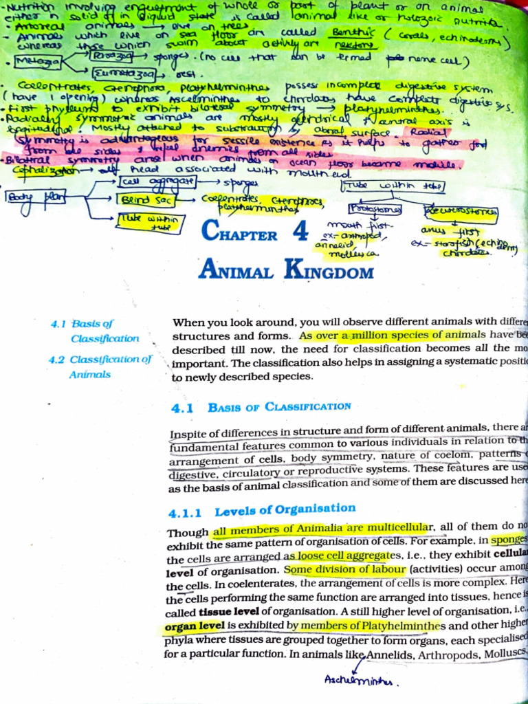 Animal Kingdom | PDF | Zoology | Anatomy