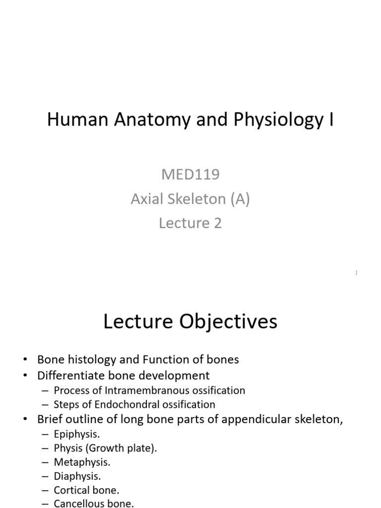Week 2 Axial Skeleton (A) Lecture 2 | PDF | Vertebra | Skull