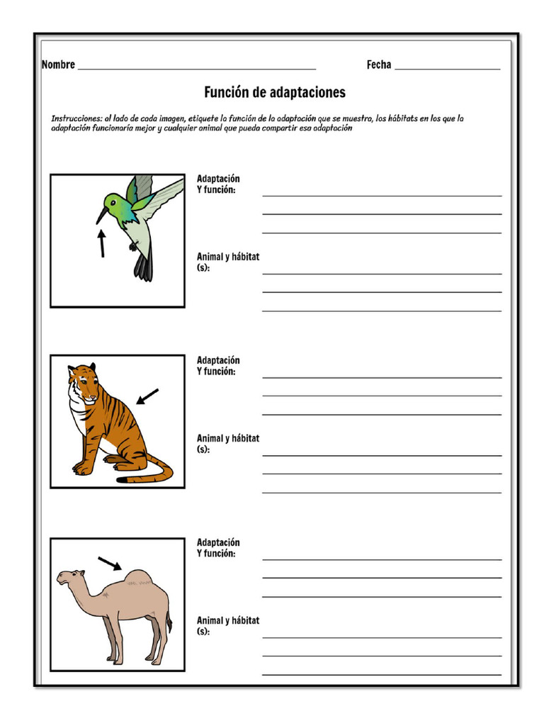 Adaptaciones de Animales 1° Secundaria | PDF