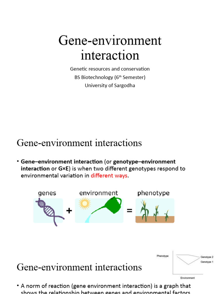 Week 10 Gene Environment Interaction | PDF | Twin | Population Genetics