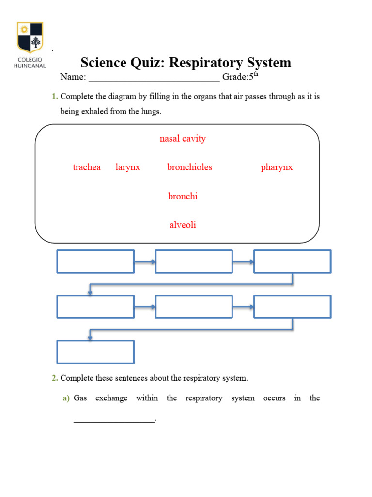 Grade 5 Respiratory System Quiz | PDF | Language Arts & Discipline