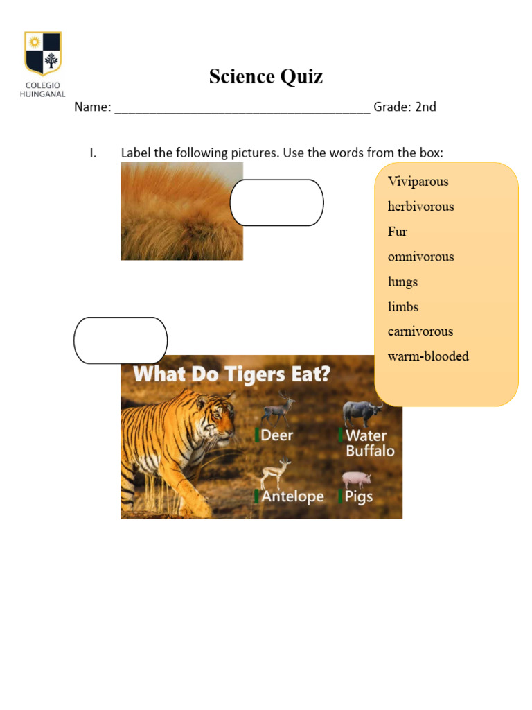 2nd Grade Science Quiz Vertebrates Mammals & Reptiles | PDF