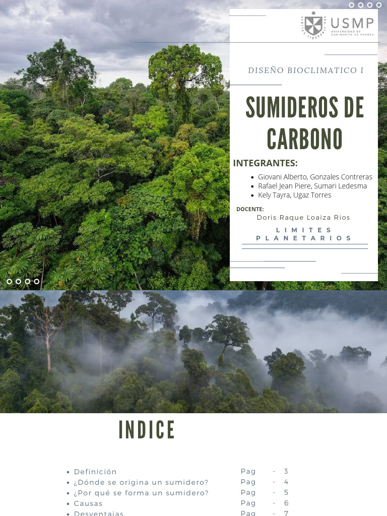 Sumideros de carbono_GRUPO 11 | PDF | Sumidero de carbono | Dióxido de carbono