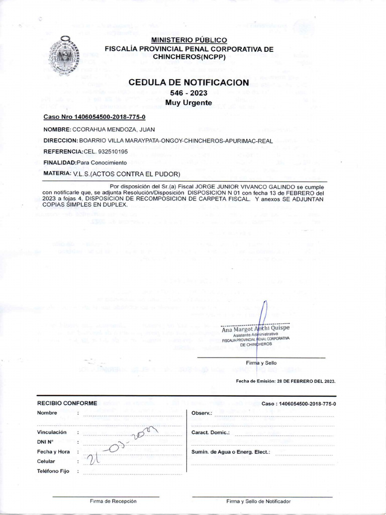 Cedula de Notificacion | PDF