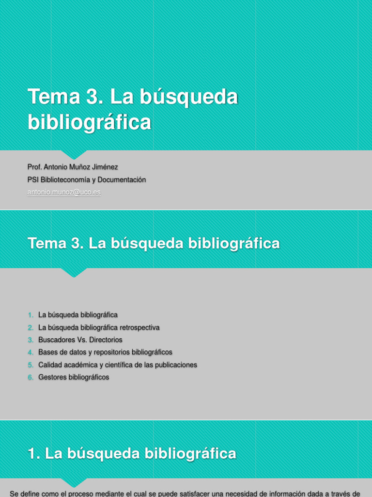 Guía de Búsqueda Bibliográfica | PDF | Información | Informática