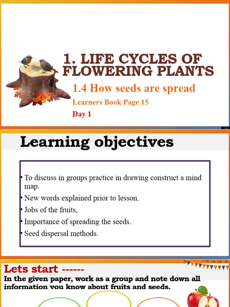 1.3 How Seeds Are Spread LB (1) Grade 5 Studies | PDF | Seed | Fruit