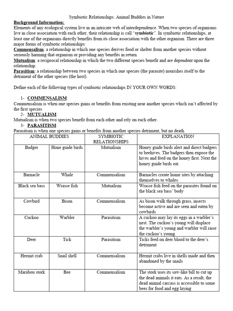 Symbiosis Animal Buddies | PDF | Symbiosis | Parasitism