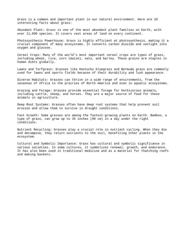 Touch Grass Nerd Pdf