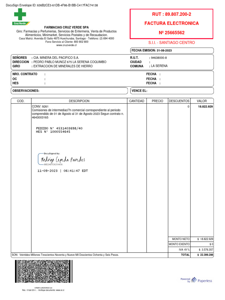 Factura #25665562 Cruz Verde | Descargar gratis PDF | Factura ...