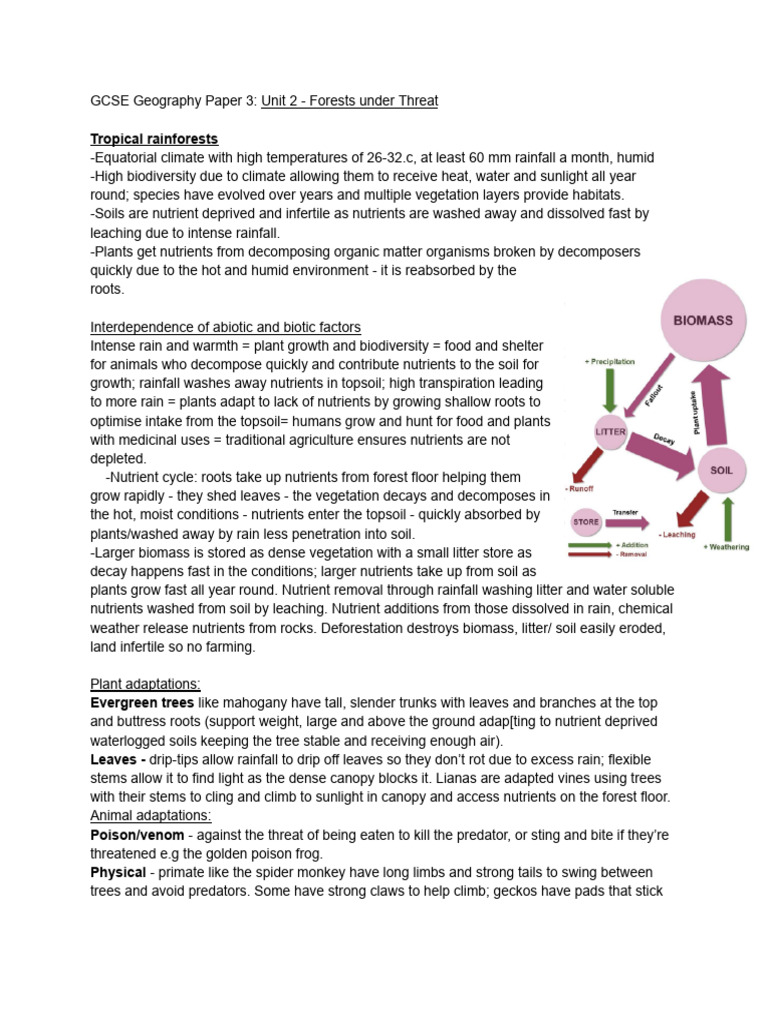 GCSE GEO 3 - Making Geographical Decisions - Forests Under Threat | PDF ...